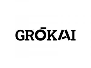 Grok Logo Analysis: The New Rebellious AI bot of Elon Musk
